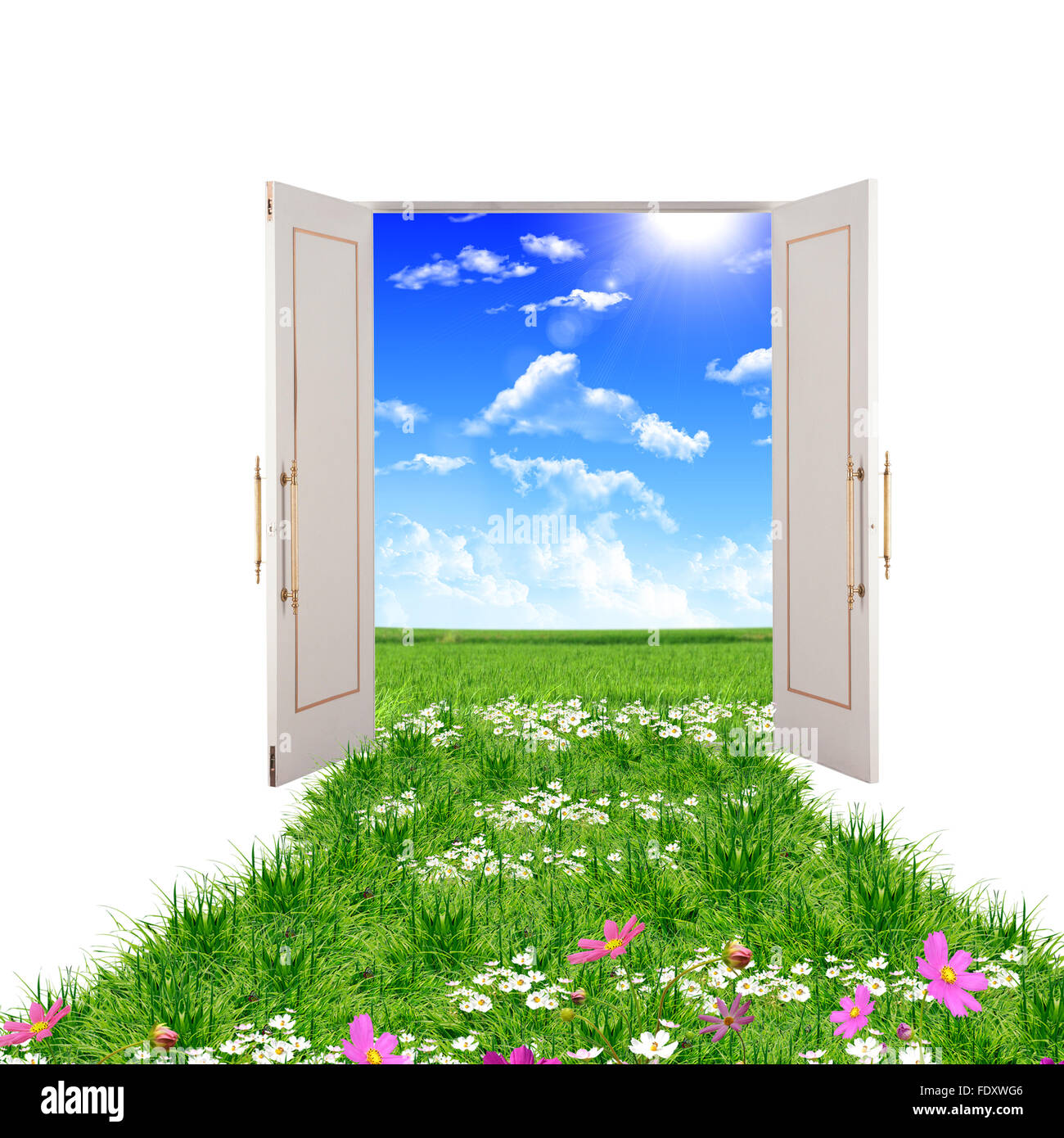open door leading to beautiful clean nature with green grass and blue ...