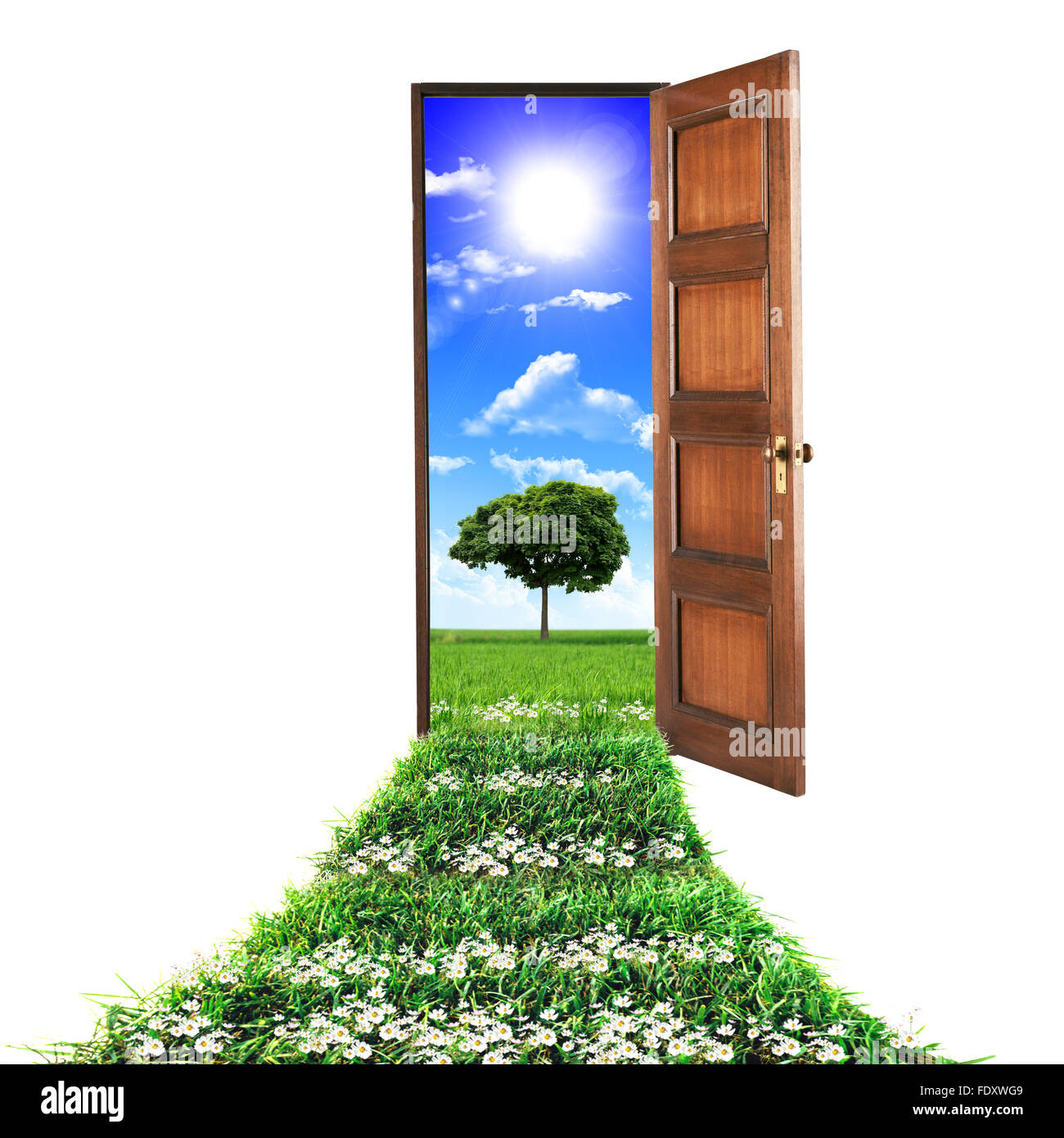 open door leading to beautiful clean nature with green grass and blue ...