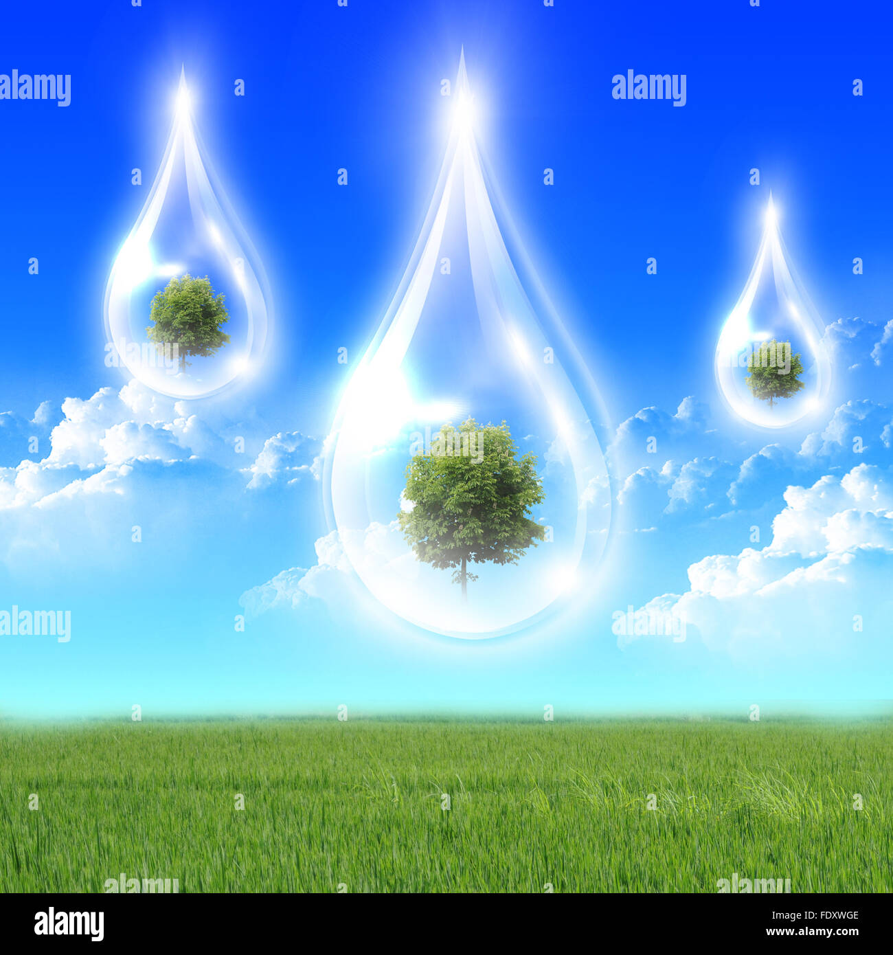 Large drops of green tree inside. Symbol of environmental protection ...