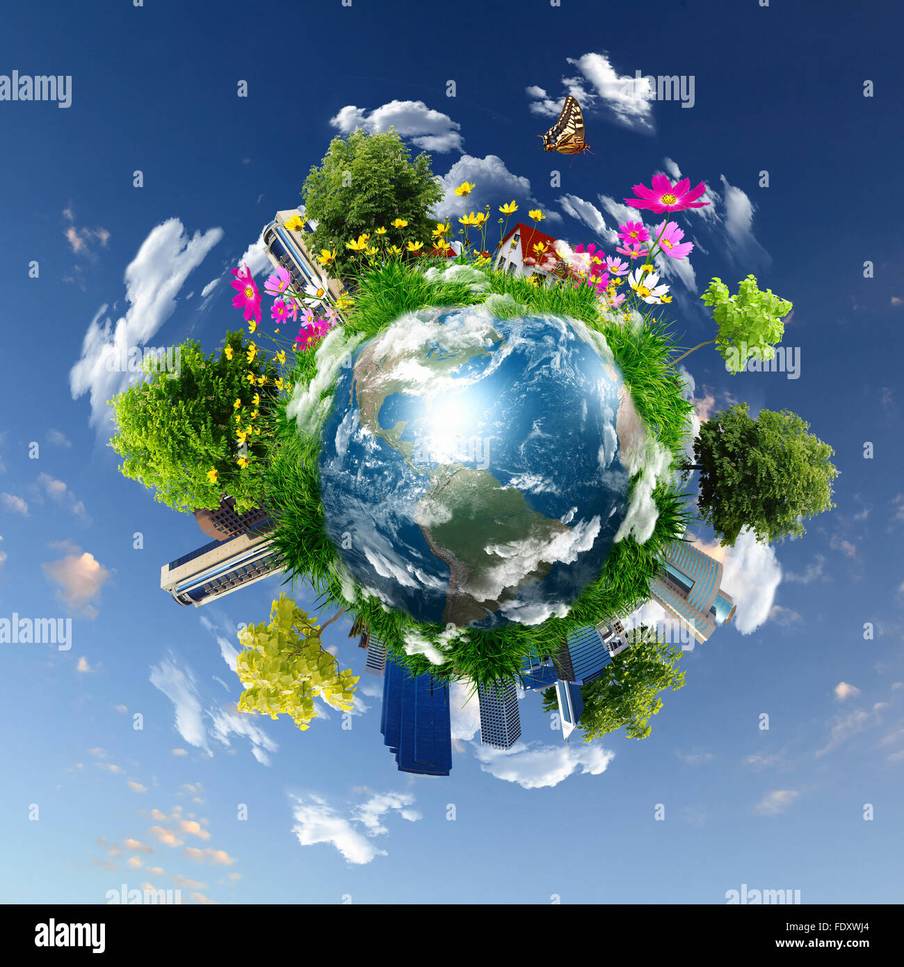 Earth Science Collage