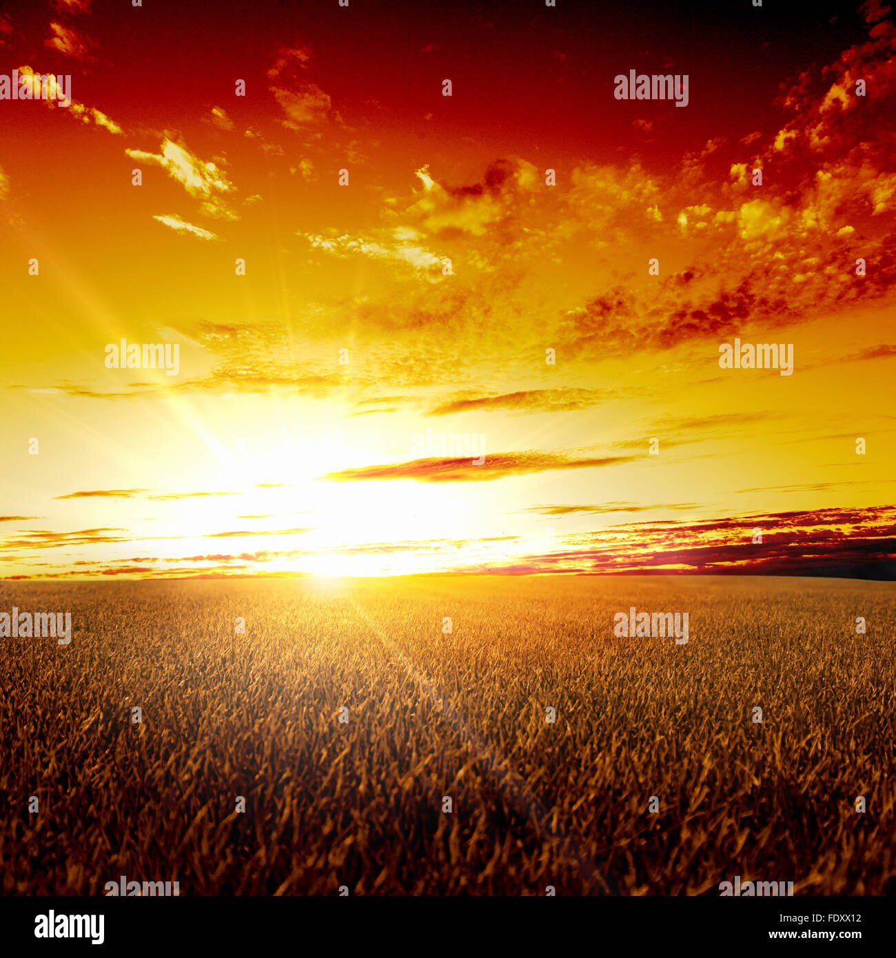Image of a rural landscape under shining sunlight Stock Photo - Alamy