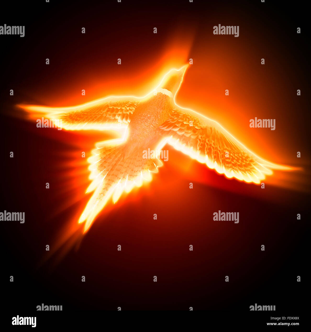 light and fire silhouette of a bird against dark background Stock Photo ...