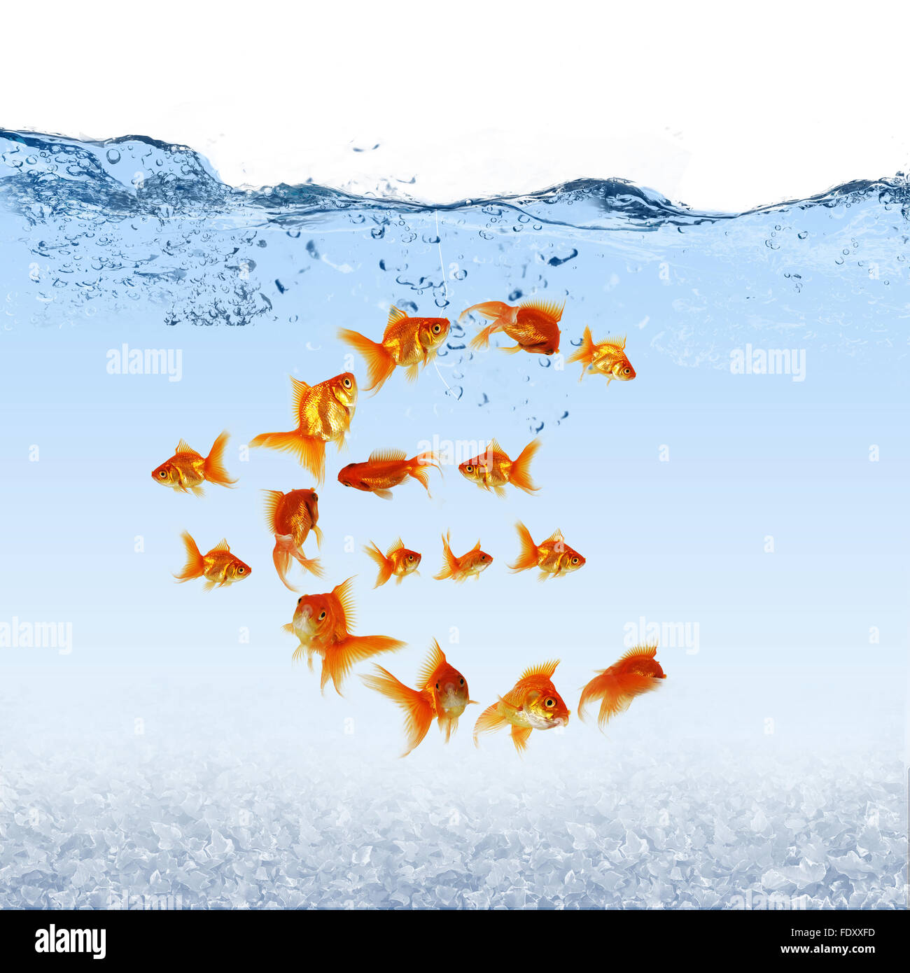 Collage of swimming gold fish and money symbols Stock Photo - Alamy