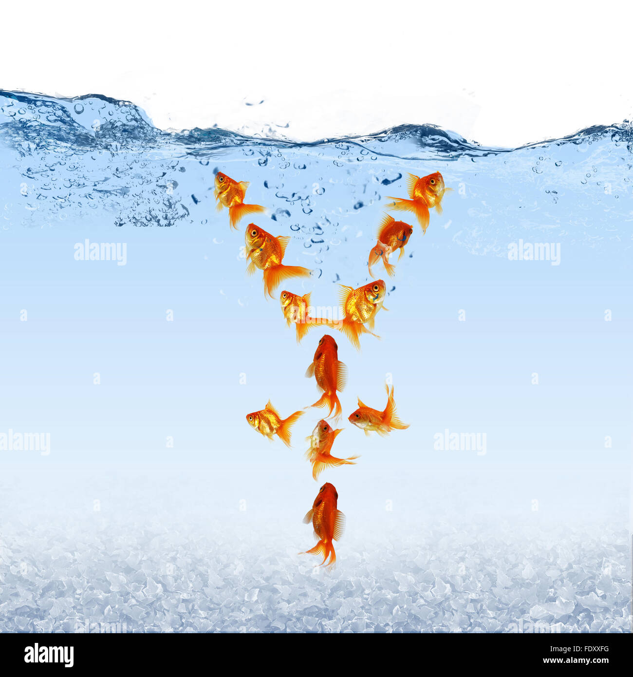 Collage of swimming gold fish and money symbols Stock Photo - Alamy