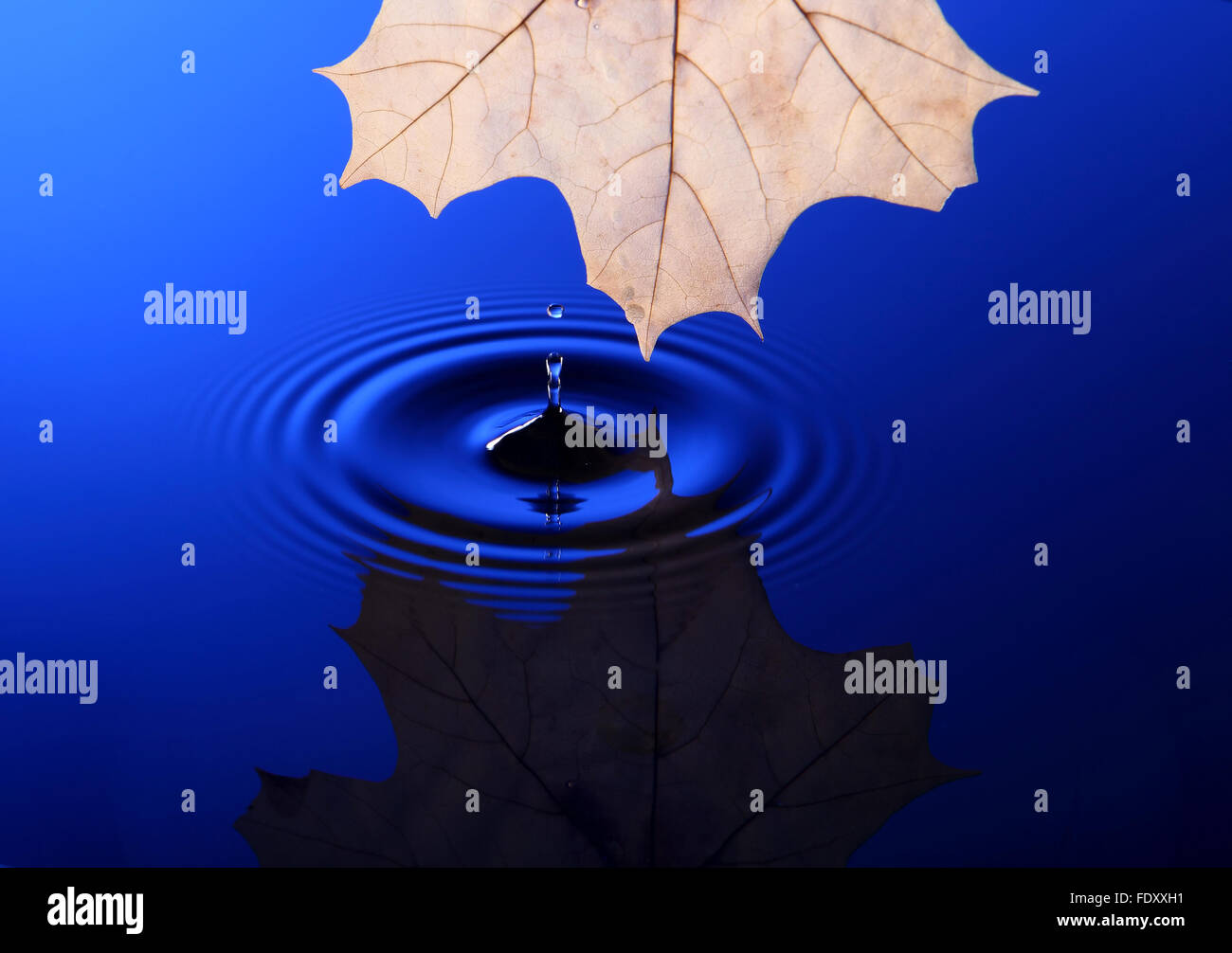 Drop of water falling into the water and leaving it circles Stock Photo ...