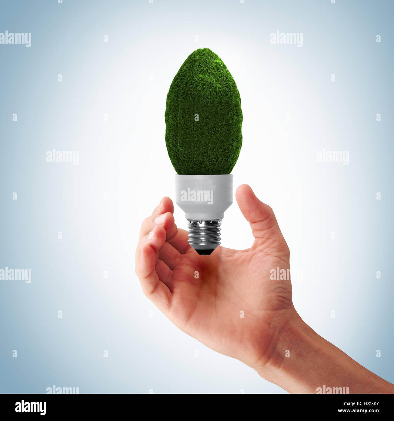 green bulb as symbol of sustainable energy and nature protection Stock ...
