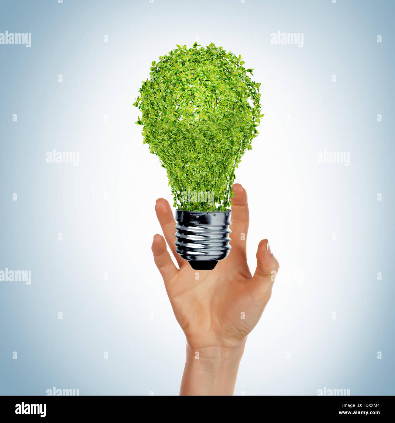 green bulb as symbol of sustainable energy and nature protection Stock ...