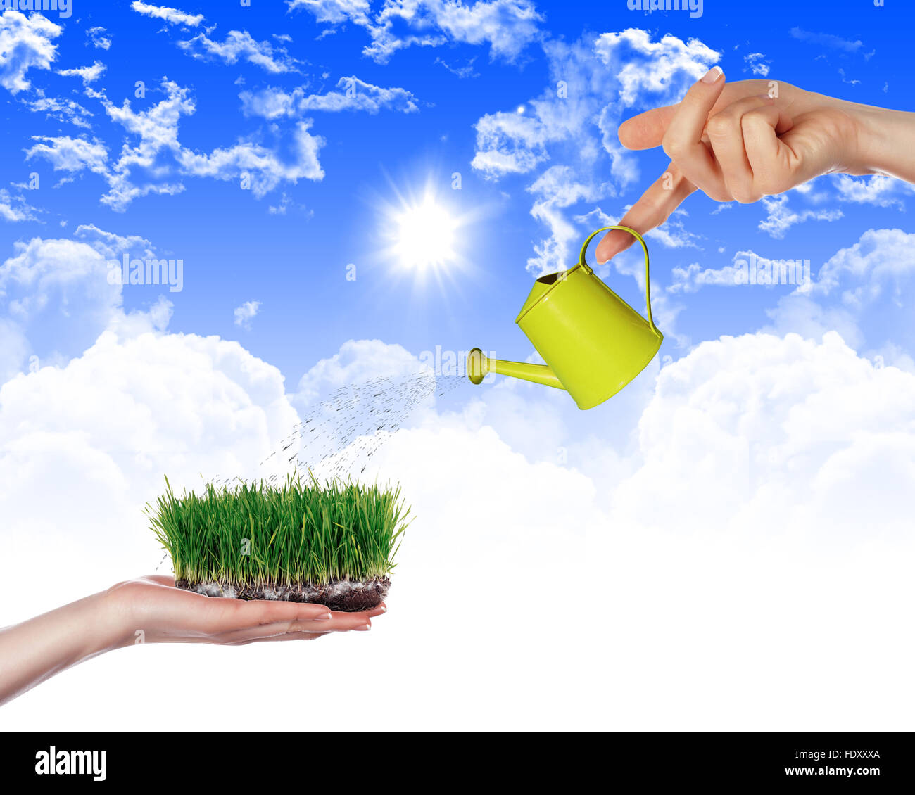 Hand with a small watering can watering green grass Stock Photo - Alamy