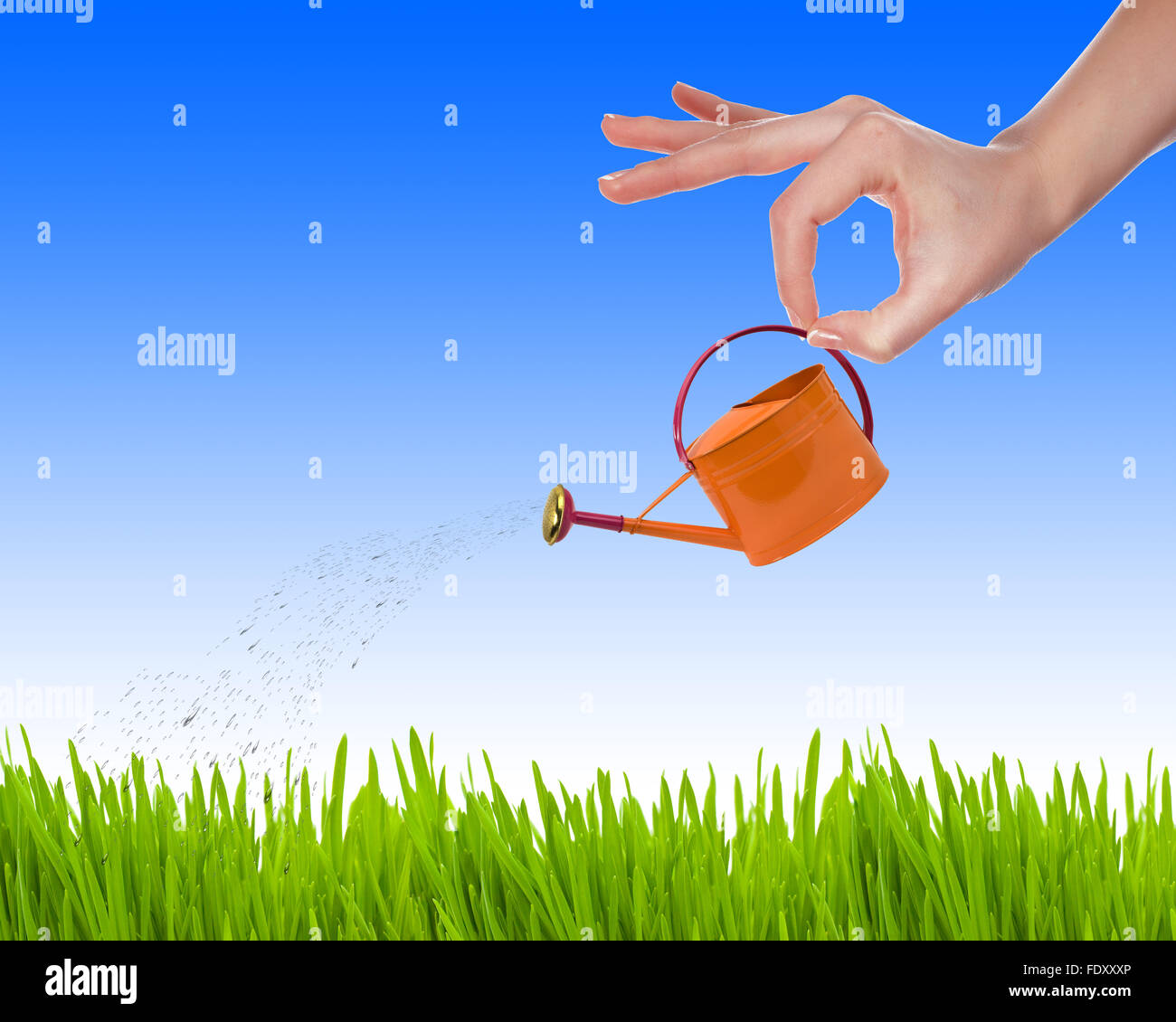 Hand with a small watering can watering green grass Stock Photo - Alamy