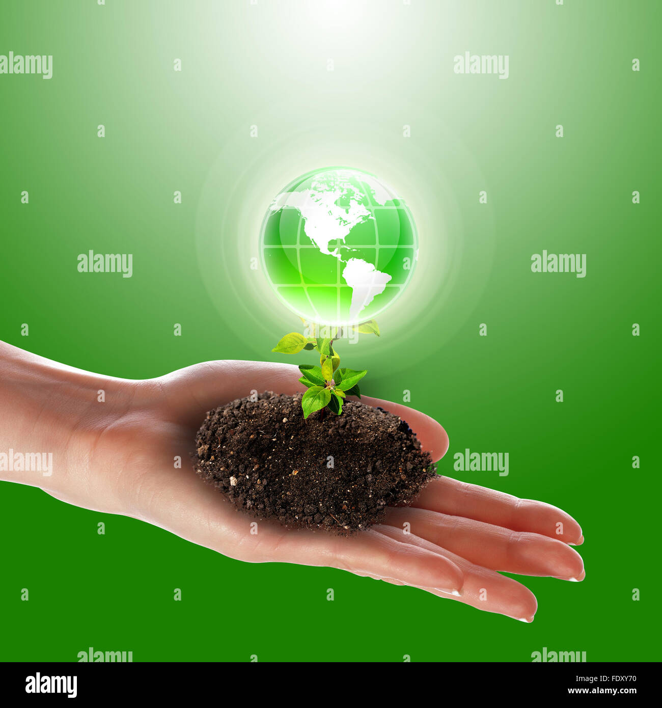 Hands and Earth. Symbol of environmental protection Stock Photo - Alamy