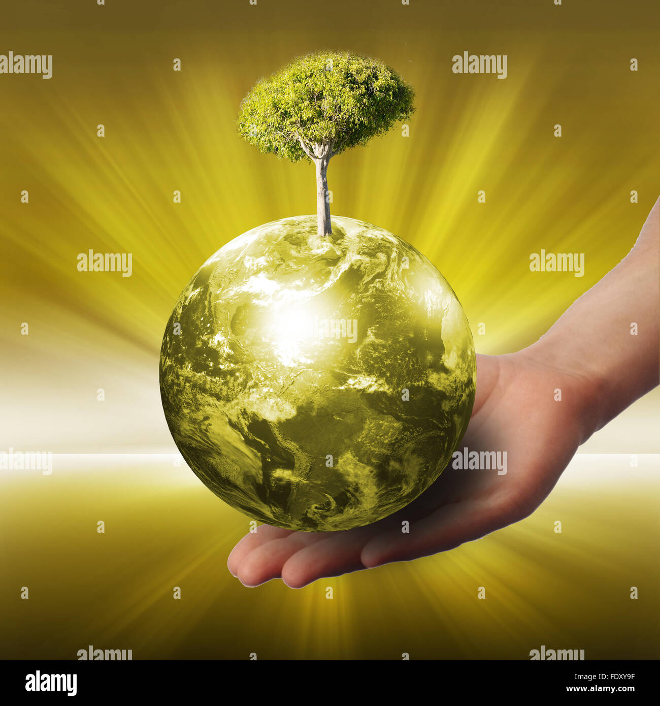 Hands and Earth. Symbol of environmental protection Stock Photo - Alamy