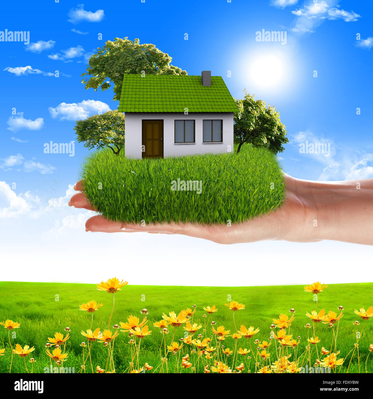 human hands holding model of a house against nature background Stock ...