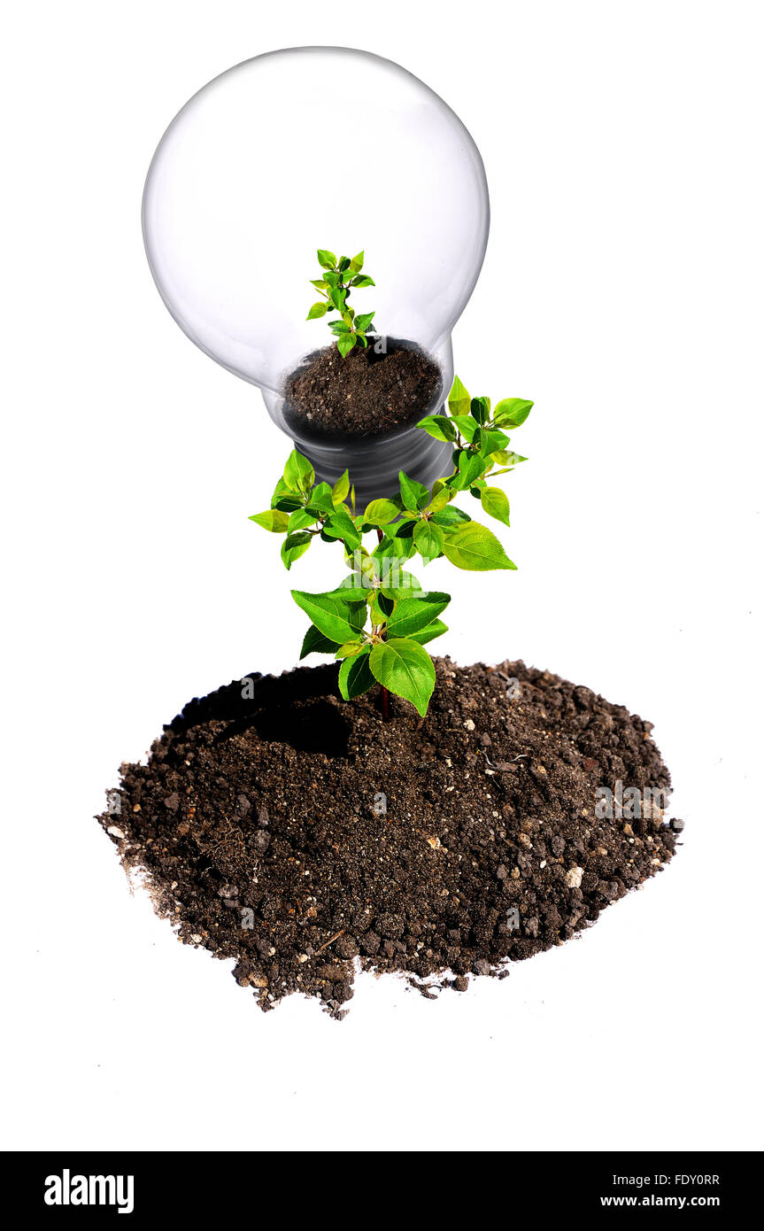 Arms and light bulbs. Symbol of environmental protection. Collage Stock ...