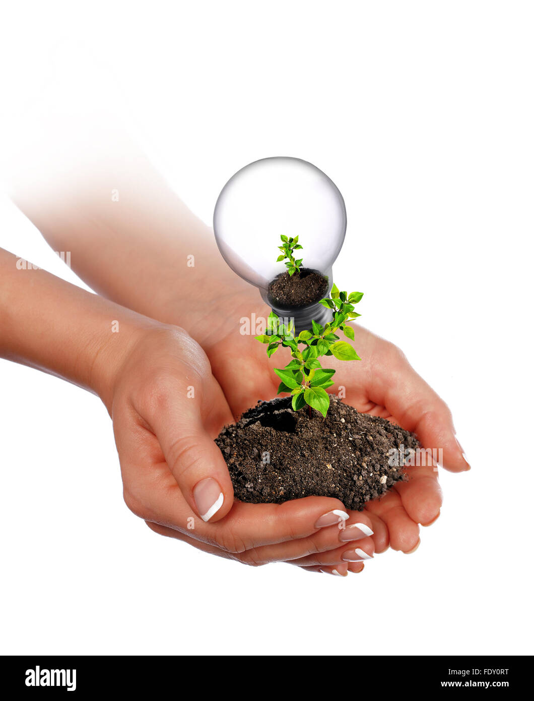 Arms and light bulbs. Symbol of environmental protection. Collage Stock ...