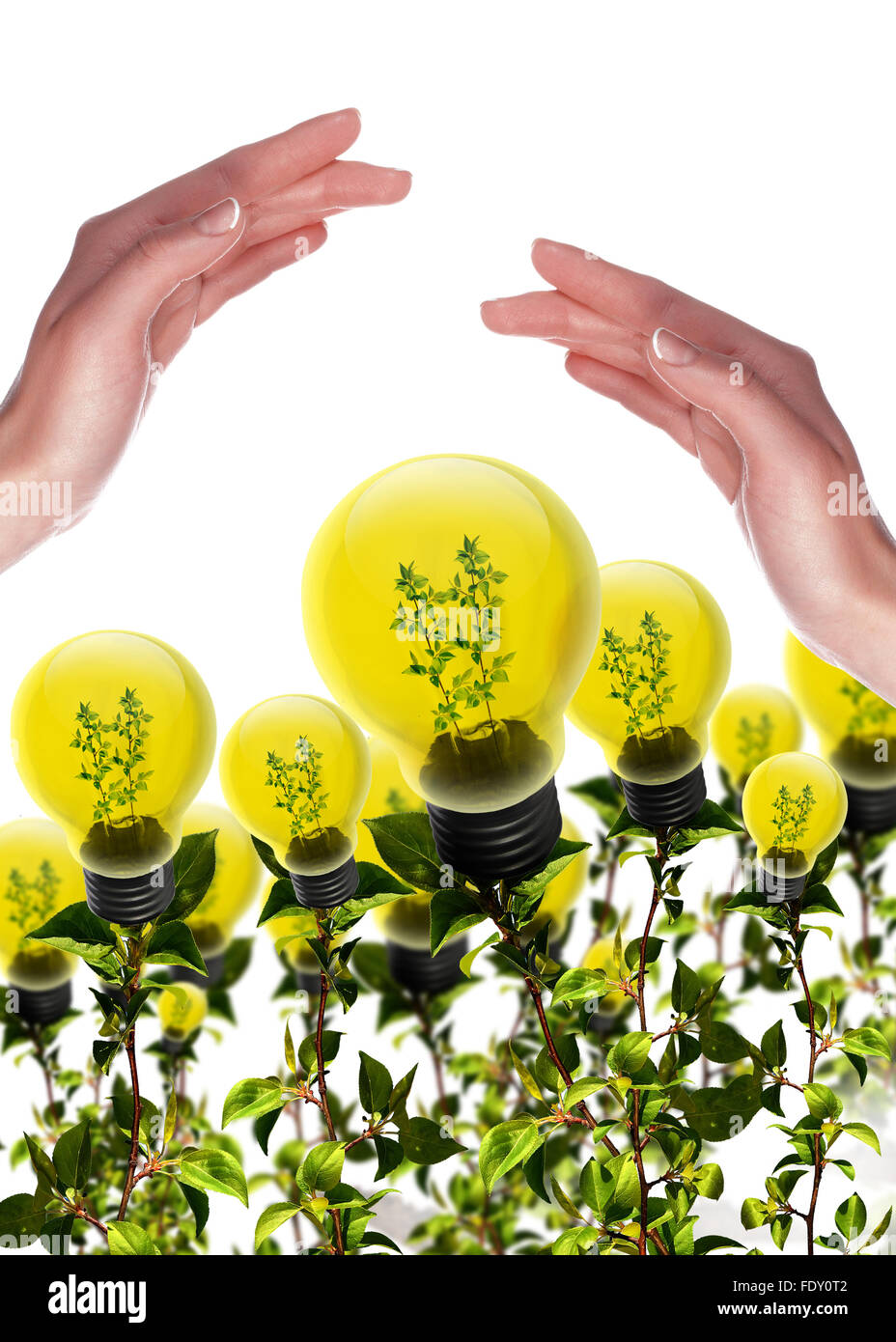 Arms and light bulbs. Symbol of environmental protection. Collage Stock ...