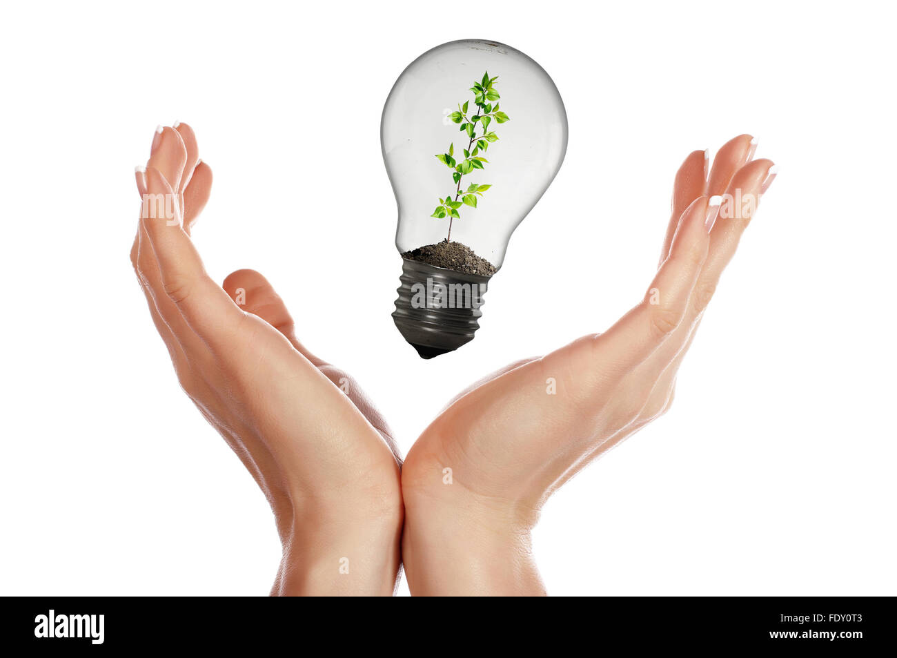 Arms and light bulbs. Symbol of environmental protection. Collage Stock ...