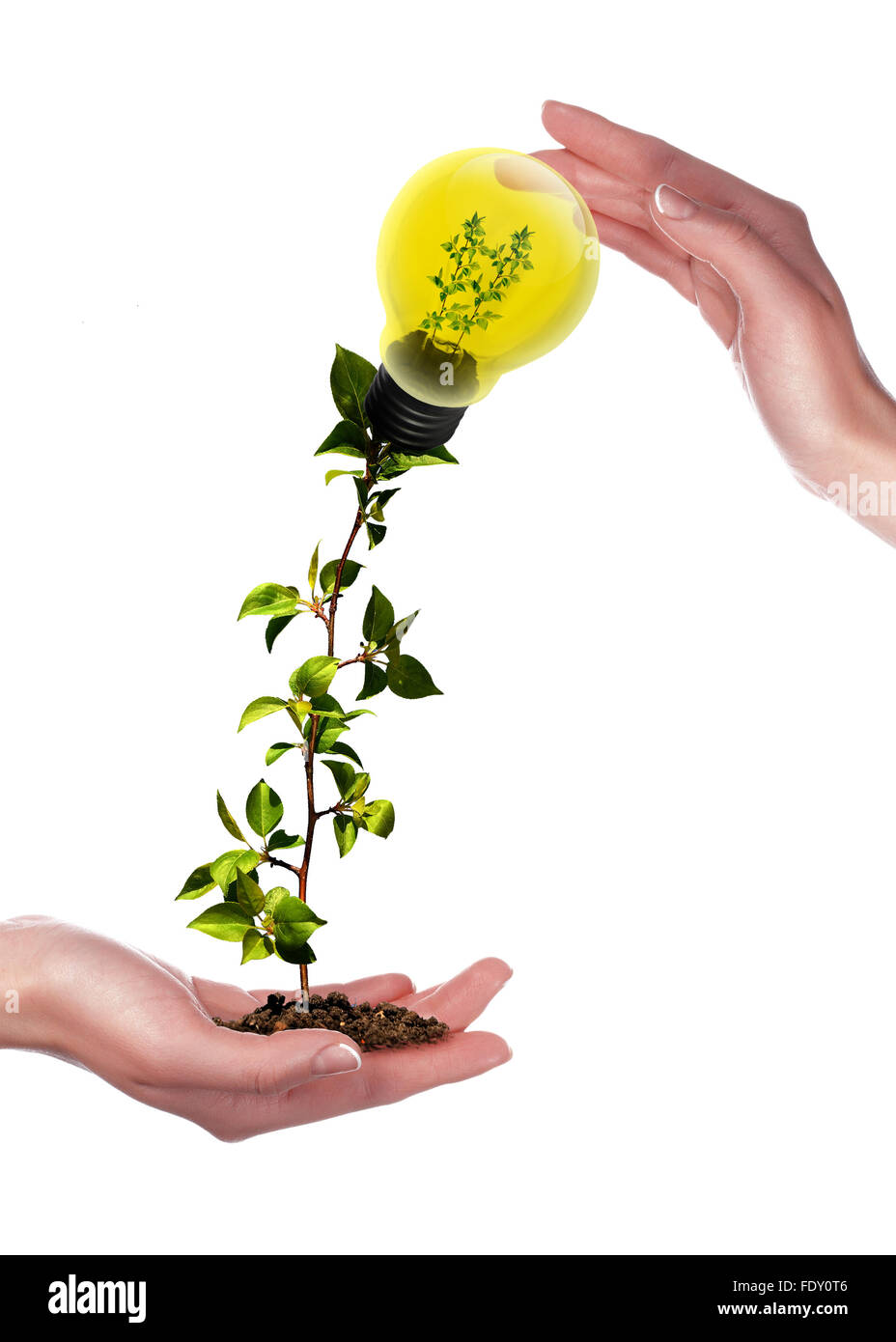 Arms and light bulbs. Symbol of environmental protection. Collage Stock ...