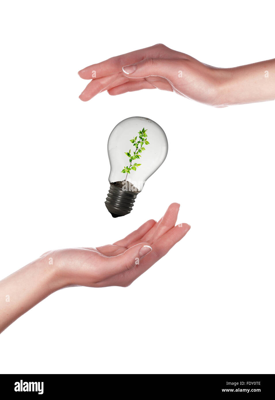 Arms and light bulbs. Symbol of environmental protection. Collage Stock ...