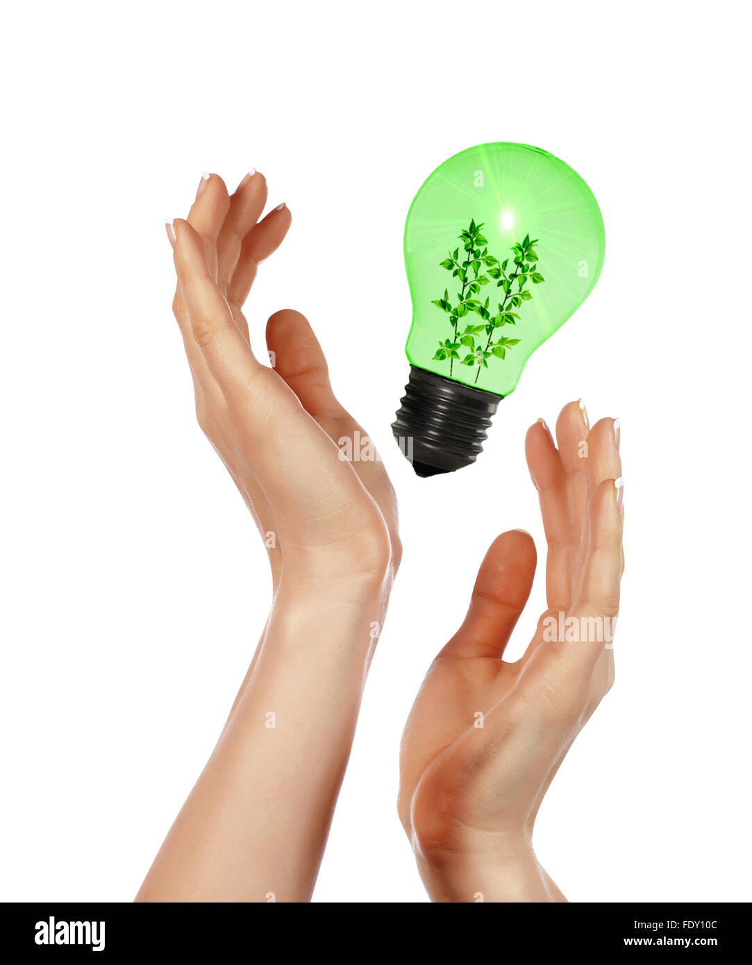 Arms and light bulbs. Symbol of environmental protection. Collage Stock ...
