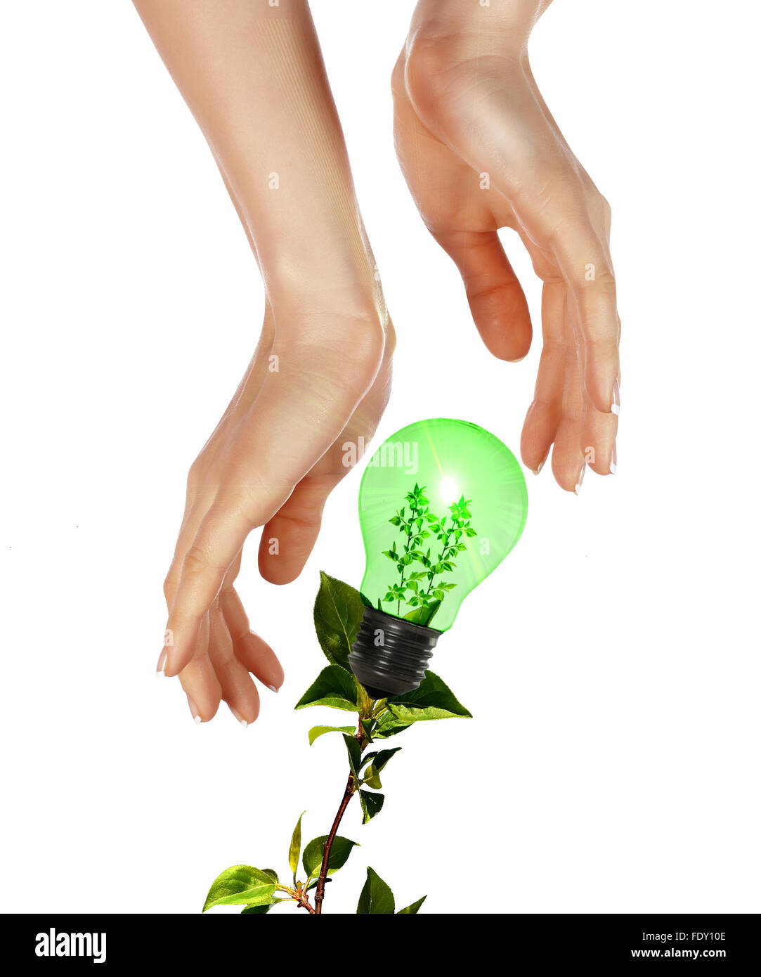 Arms and light bulbs. Symbol of environmental protection. Collage Stock ...