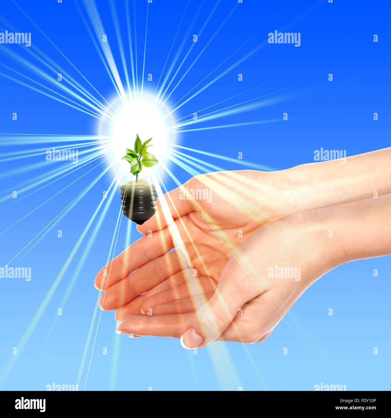 Arms and light bulbs. Symbol of environmental protection. Collage Stock ...