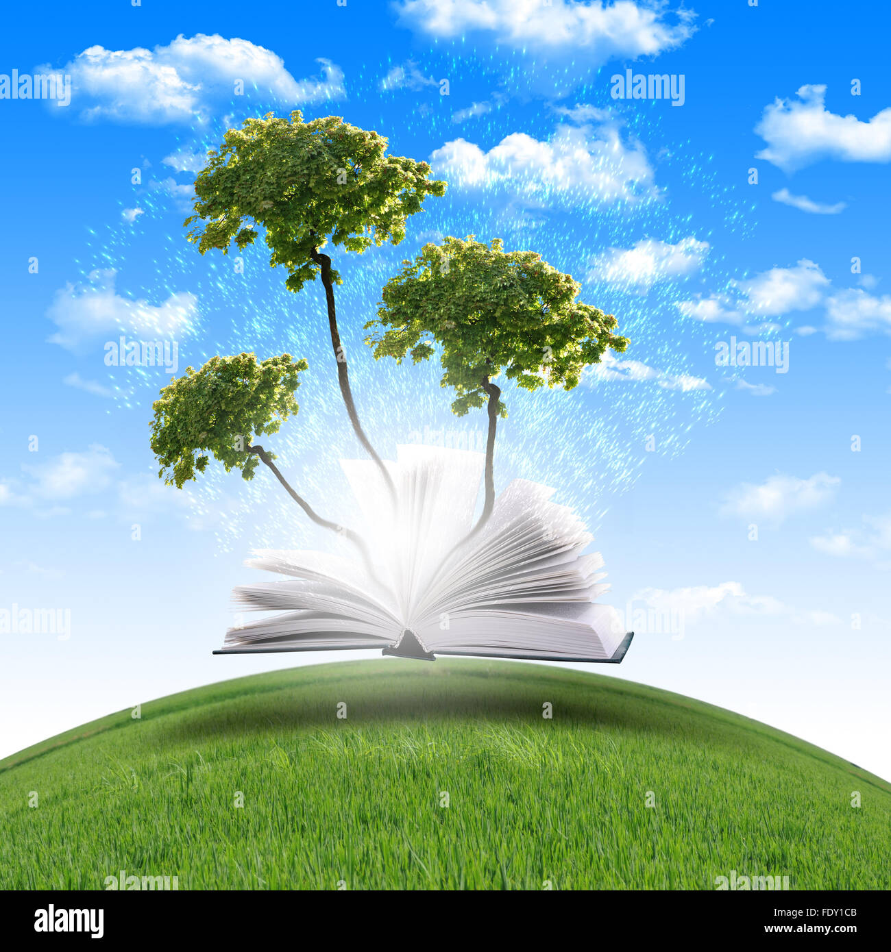 magic book with the lines and lights with green tree Stock Photo - Alamy