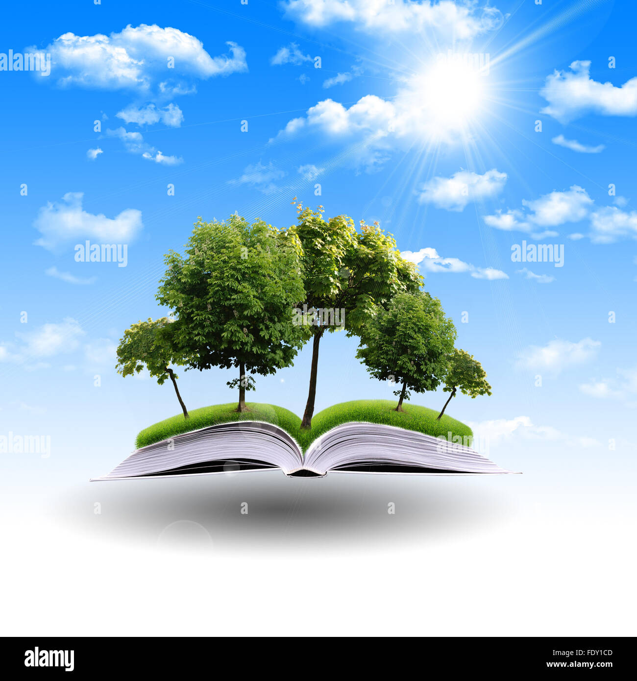 magic book with the lines and lights with green tree Stock Photo - Alamy