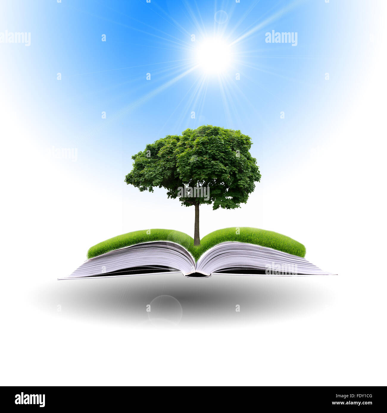 Green blue magic fantasy wallpaper hi-res stock photography and images ...