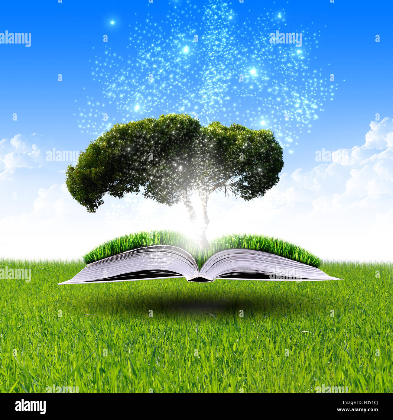 magic book with the lines and lights with green tree Stock Photo - Alamy