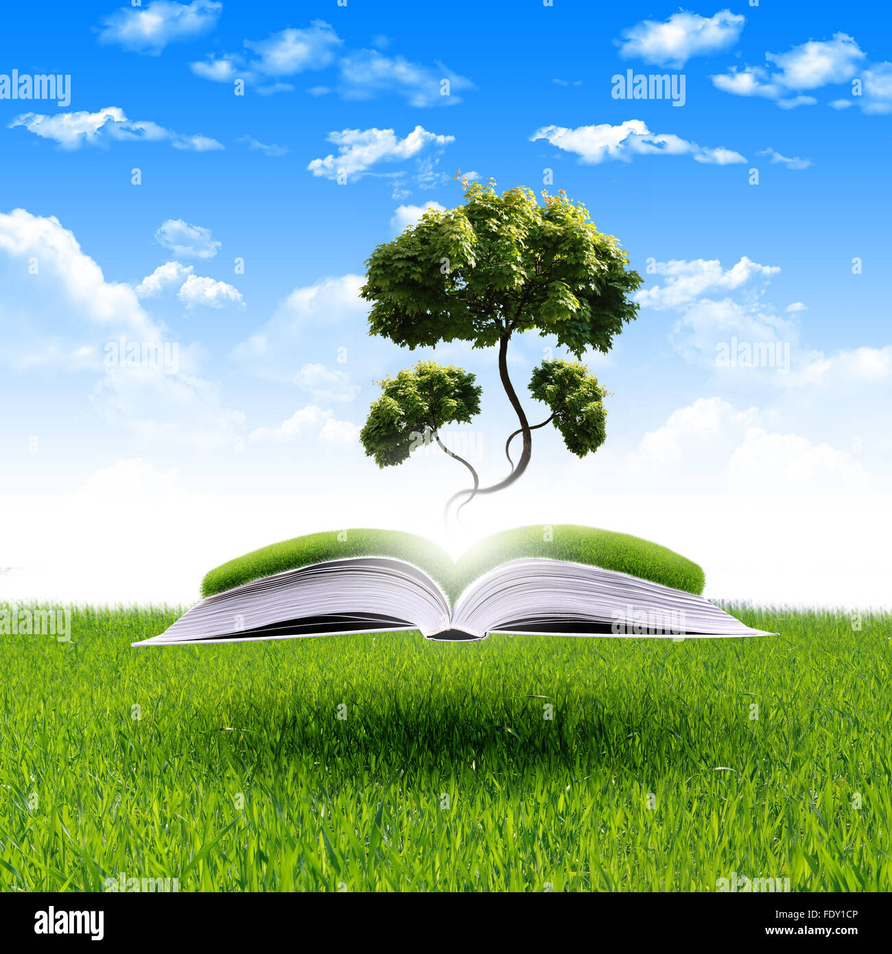 magic book with the lines and lights with green tree Stock Photo - Alamy