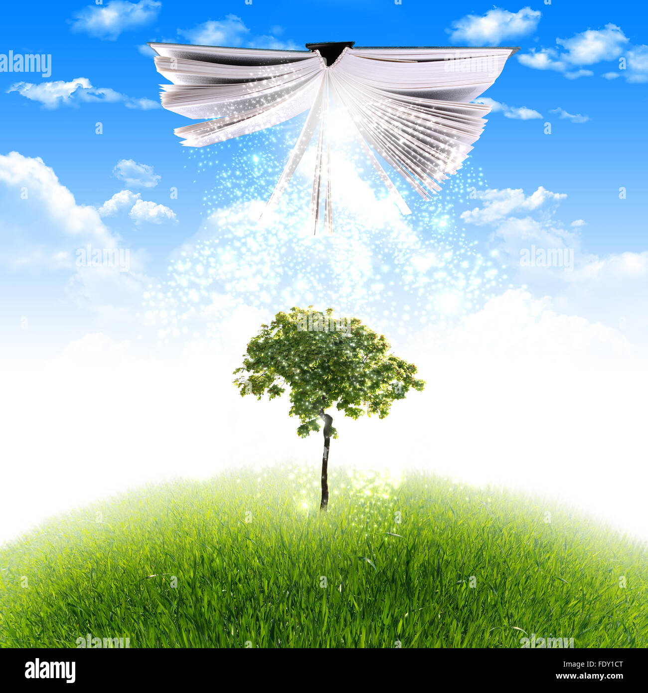 magic book with the lines and lights with green tree Stock Photo - Alamy