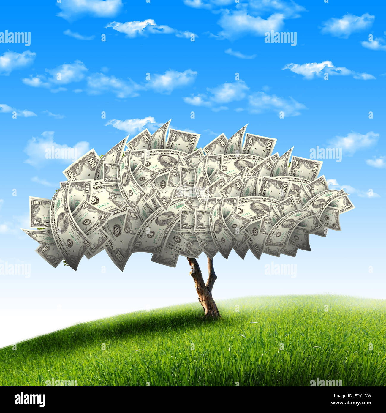 Tree of dollar bills on the green grass against the blue sky. Concept ...