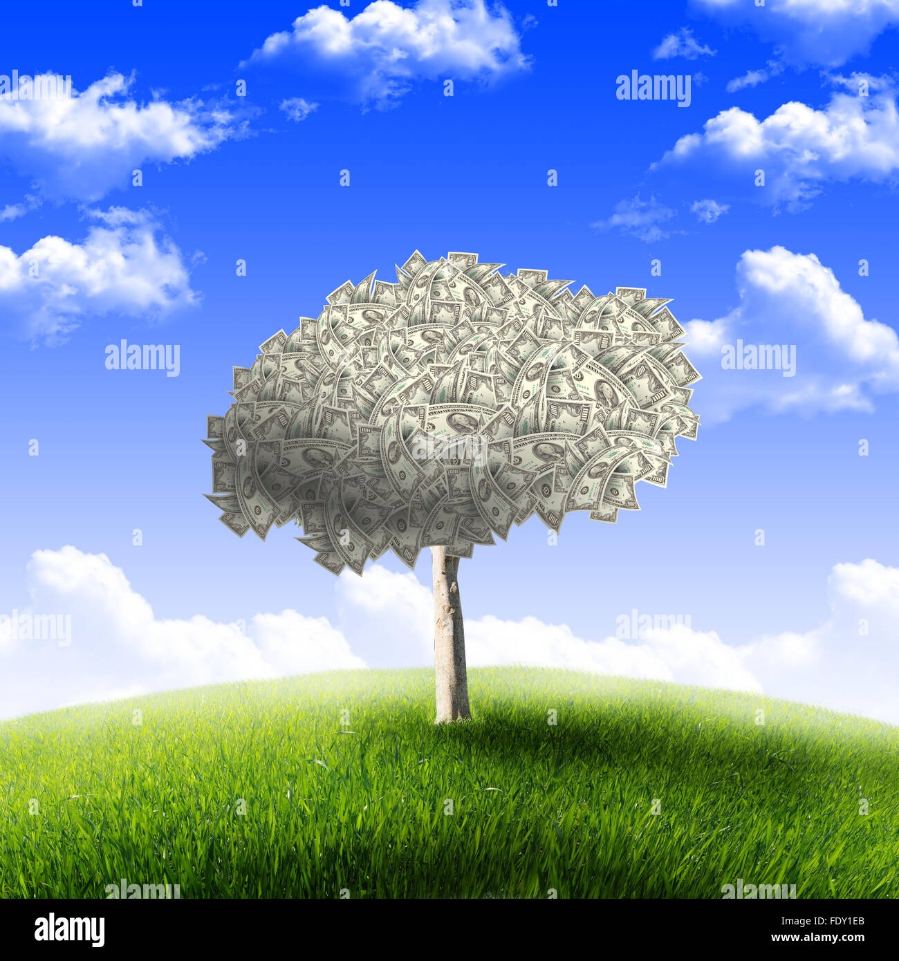 Tree of dollar bills on the green grass against the blue sky. Concept ...