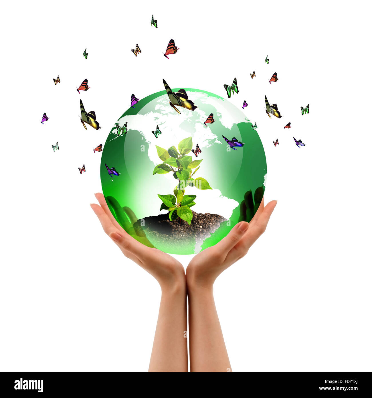 Human hand and multicolored butterflies, grass and a symbol of the ...