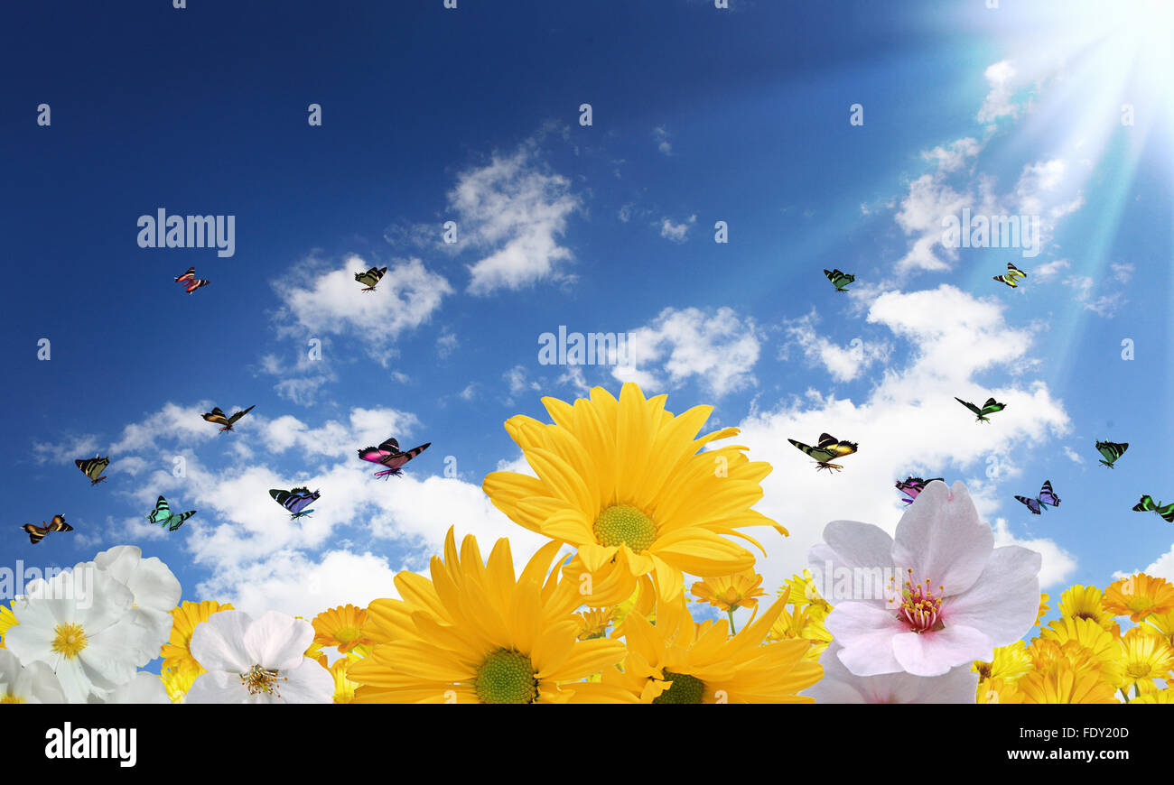 Beautiful flowers against the blue sky. Landscape Stock Photo - Alamy