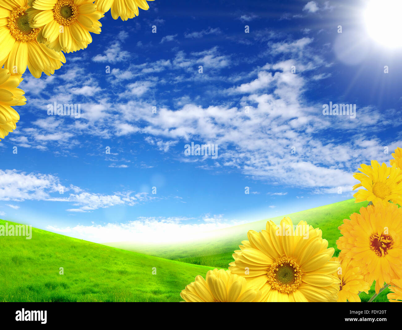 Beautiful flowers against the blue sky. Landscape Stock Photo - Alamy