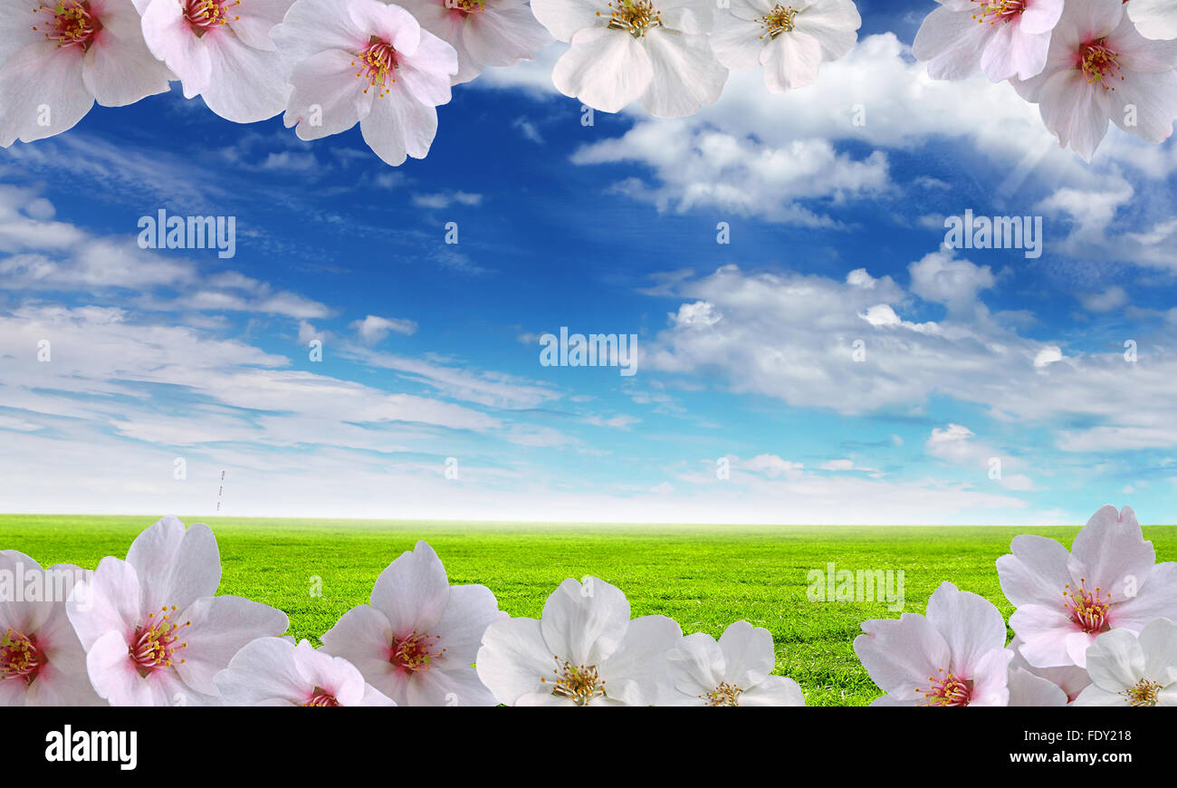 Beautiful flowers against the blue sky. Landscape Stock Photo - Alamy