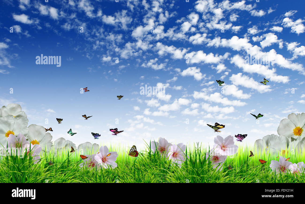 Beautiful flowers against the blue sky. Landscape Stock Photo - Alamy