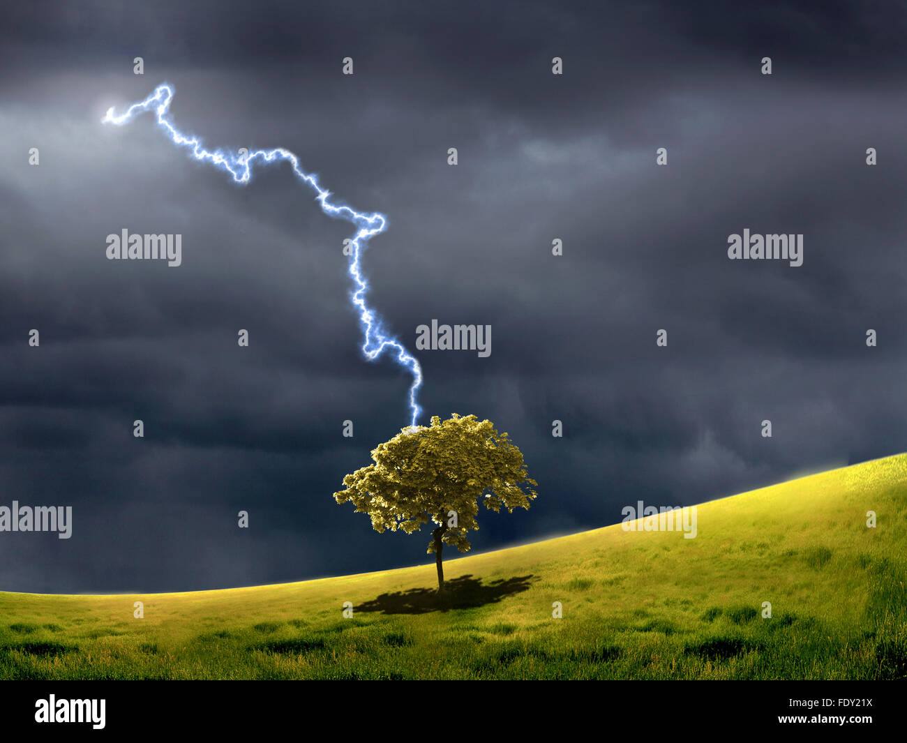 nature landscape with thunderstorm and lighting on the background Stock ...