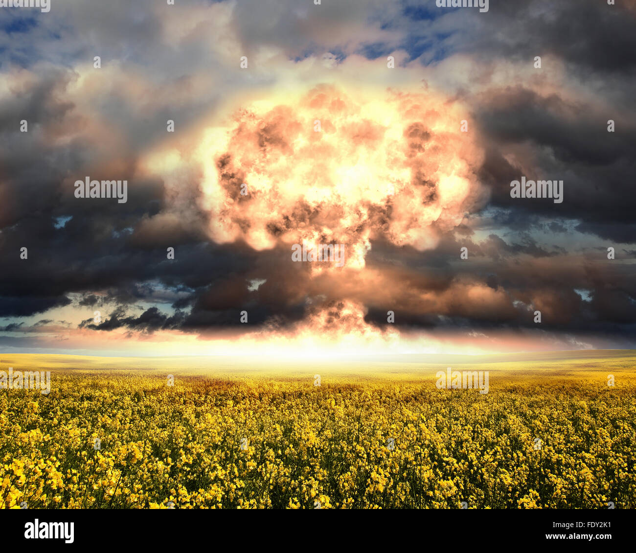 Nuclear explosion in an outdoor setting. Symbol of environmental ...