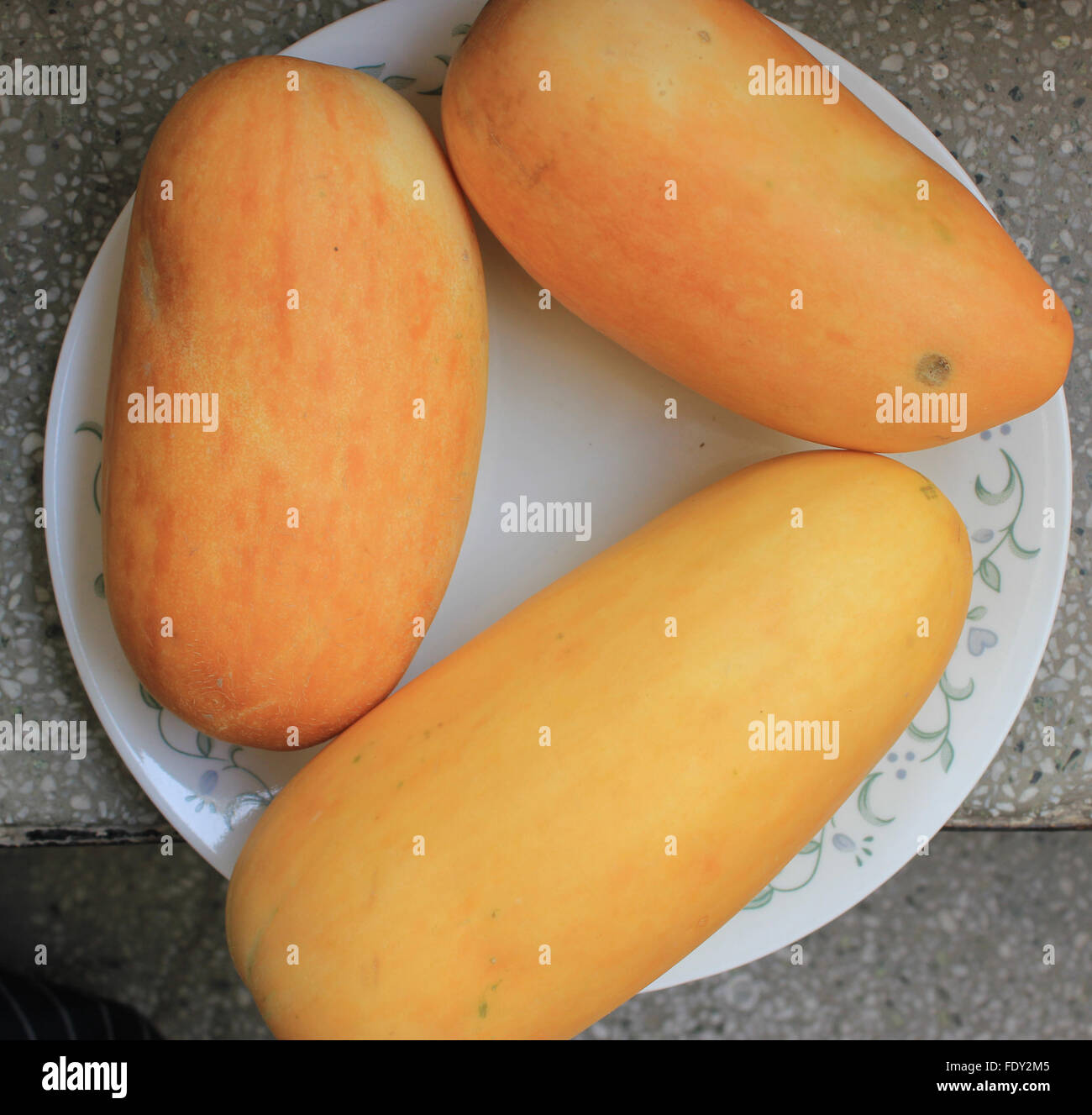 Snap melon, Cucumis melo var momordica, oval fruit consumed as cucumber when young, melon when ...