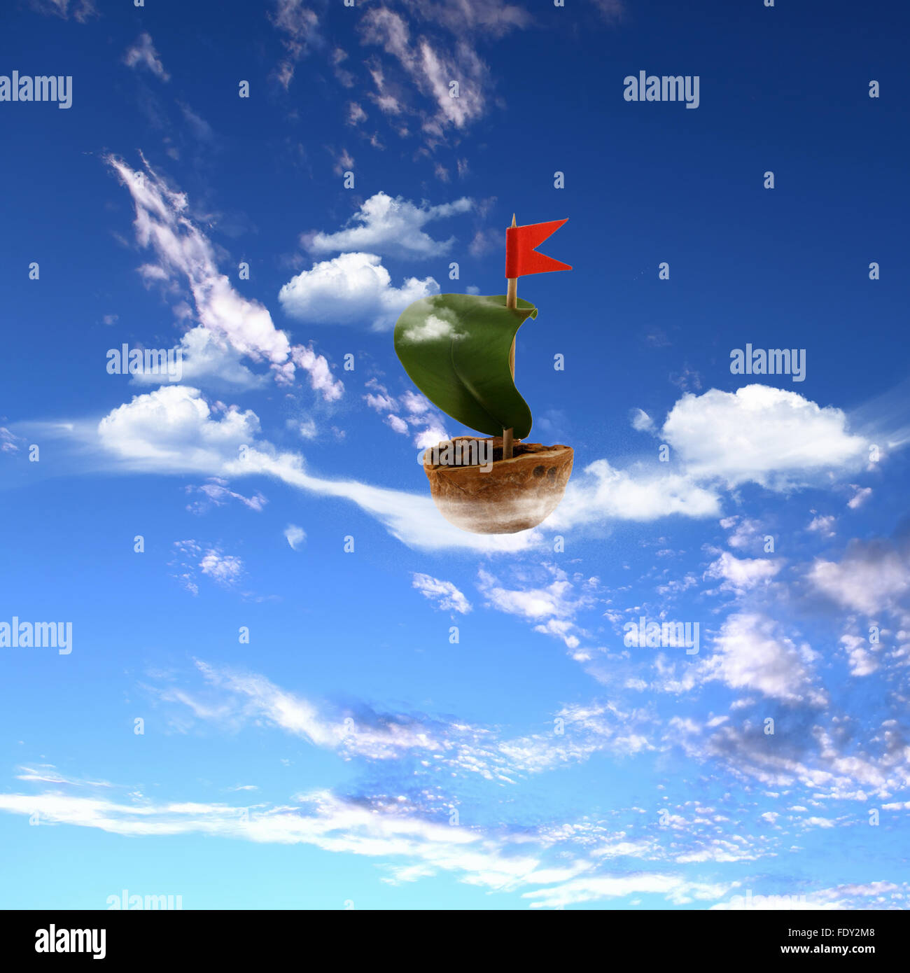 Nutshell ship with green leaf sail and red flag Stock Photo - Alamy