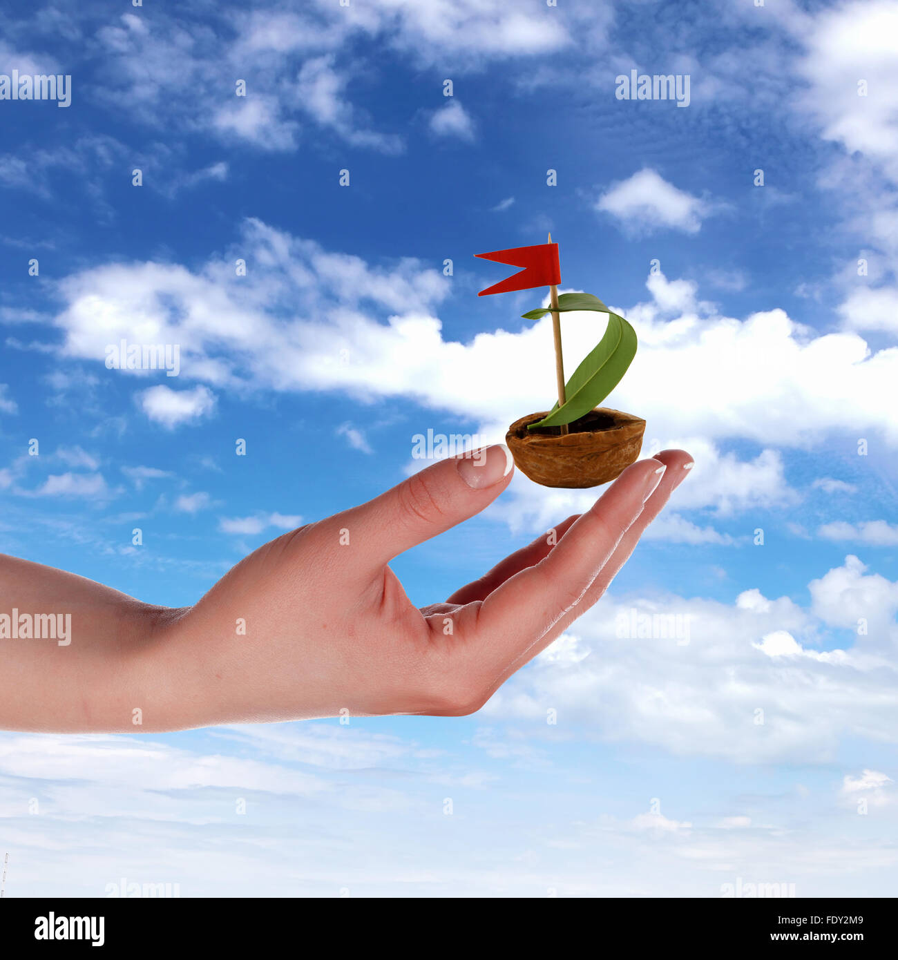 Nutshell ship with green leaf sail and red flag Stock Photo - Alamy