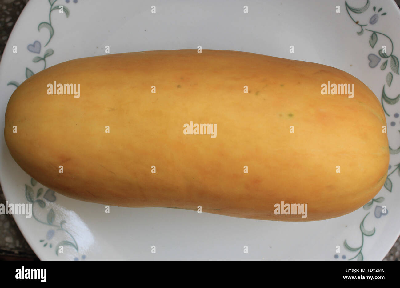 Snap melon, Cucumis melo var momordica, oval fruit consumed as cucumber ...