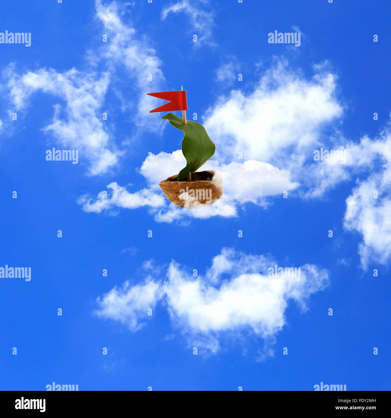 Walnut shell boat hi-res stock photography and images - Alamy