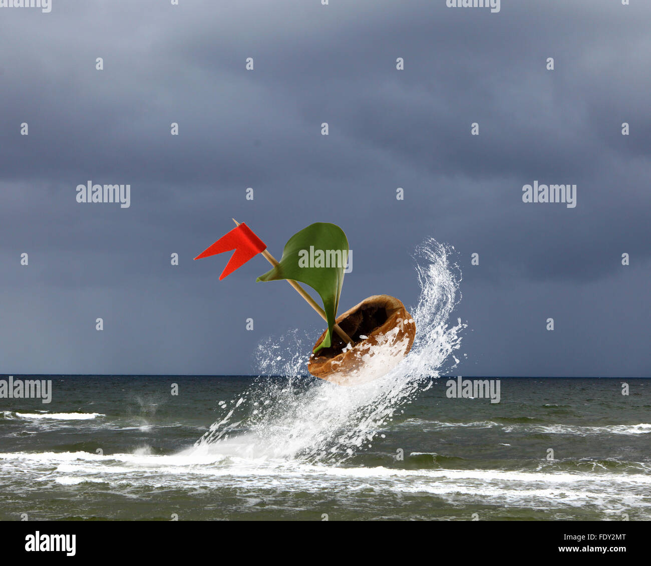 Walnut shell boat hi-res stock photography and images - Alamy