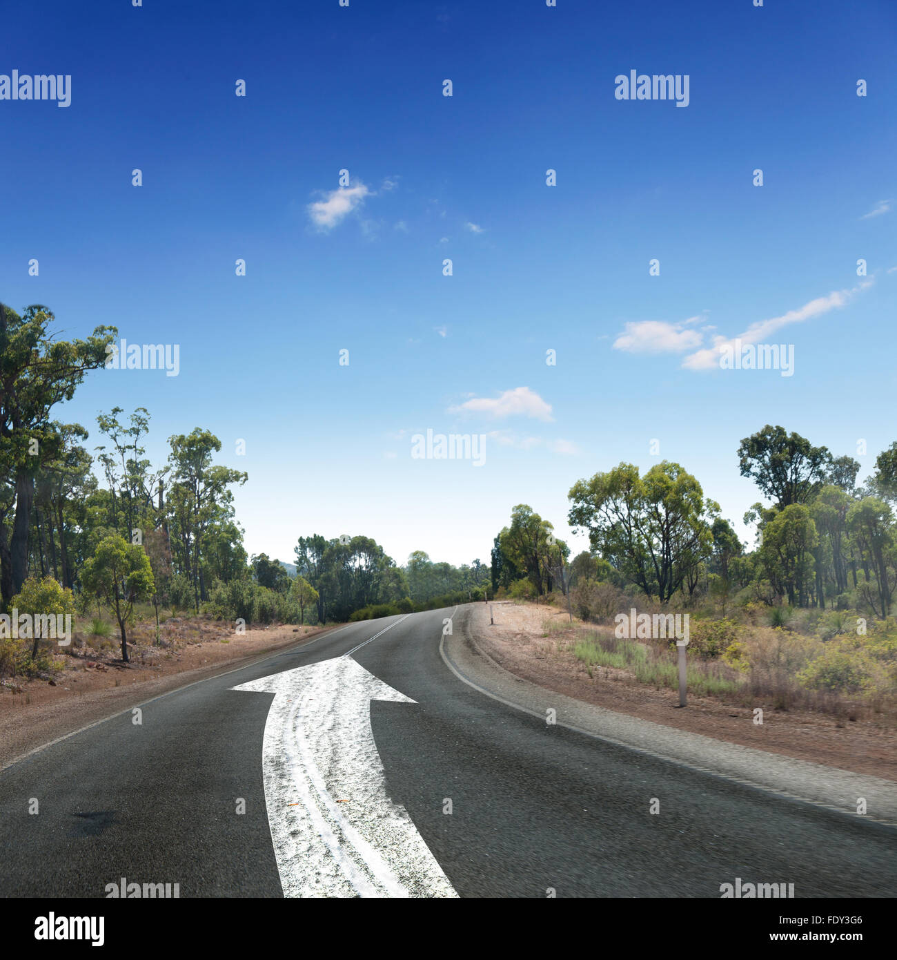 Empty countryside road with white arrow sing on it Stock Photo - Alamy