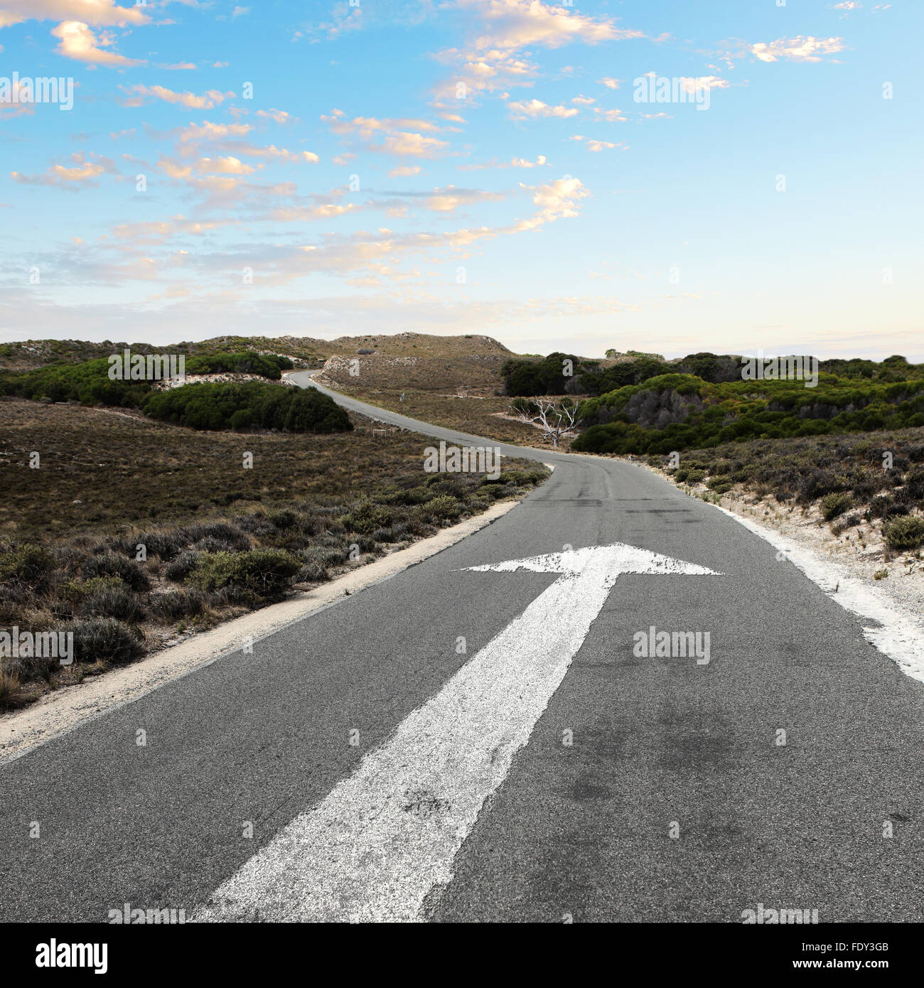 Empty countryside road with white arrow sing on it Stock Photo - Alamy