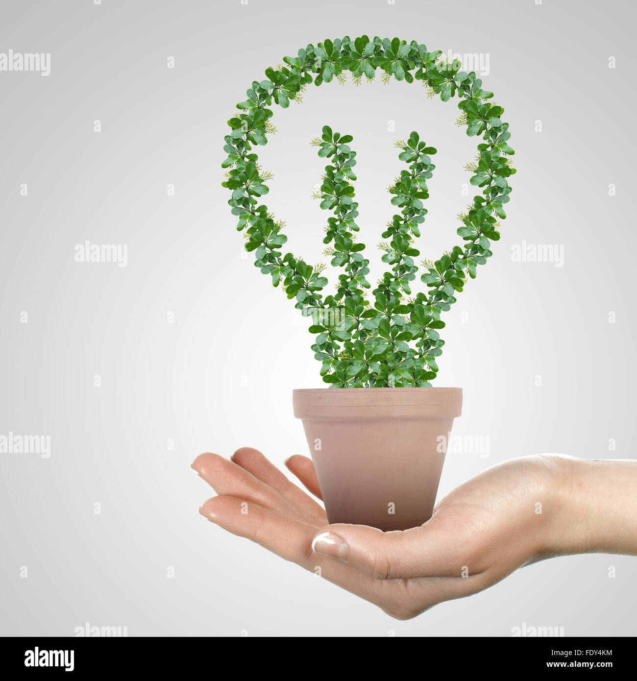 Image of green symbol of environmental protection and ecology Stock ...