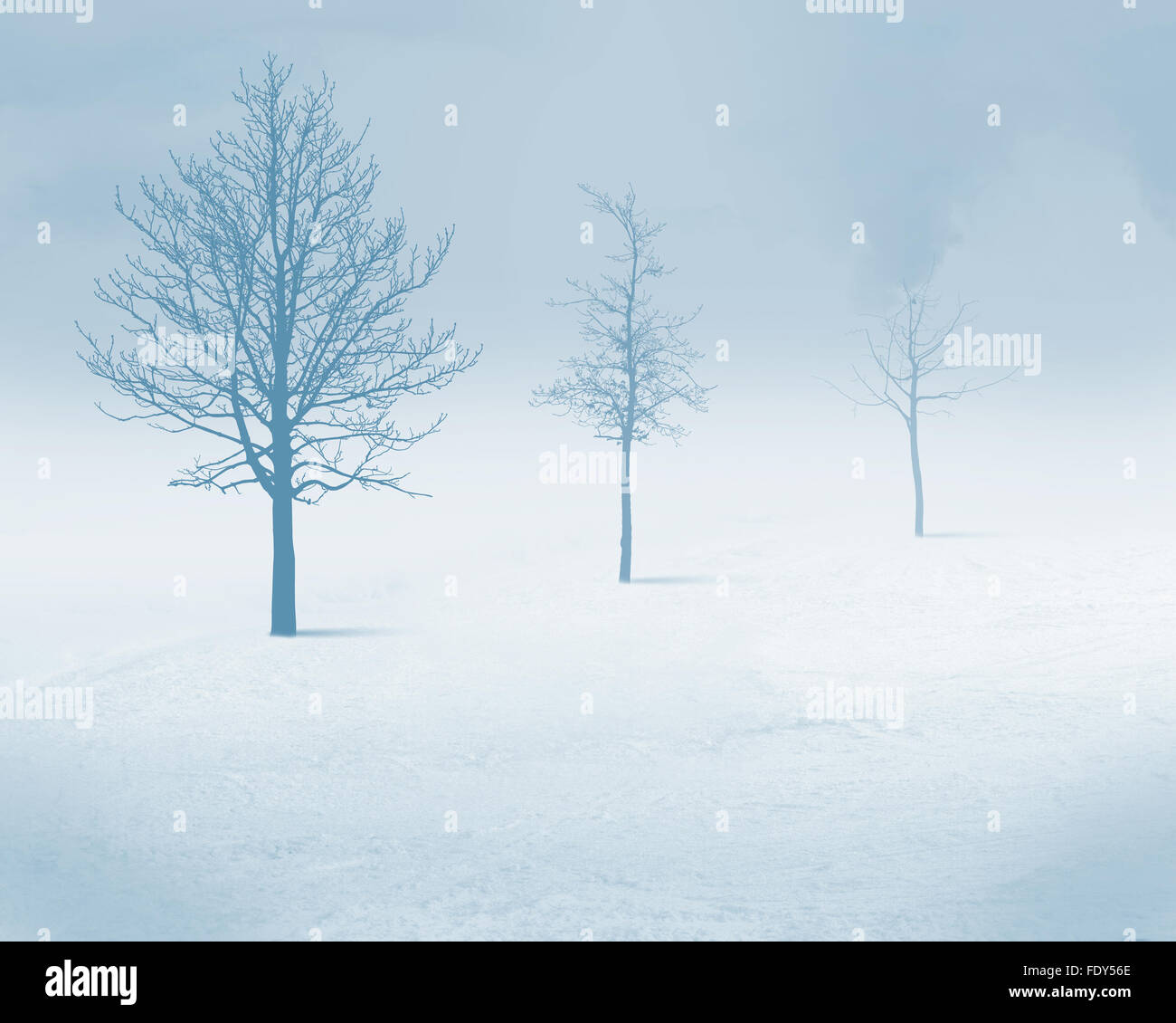 Image of white snow tree on a white background Stock Photo - Alamy